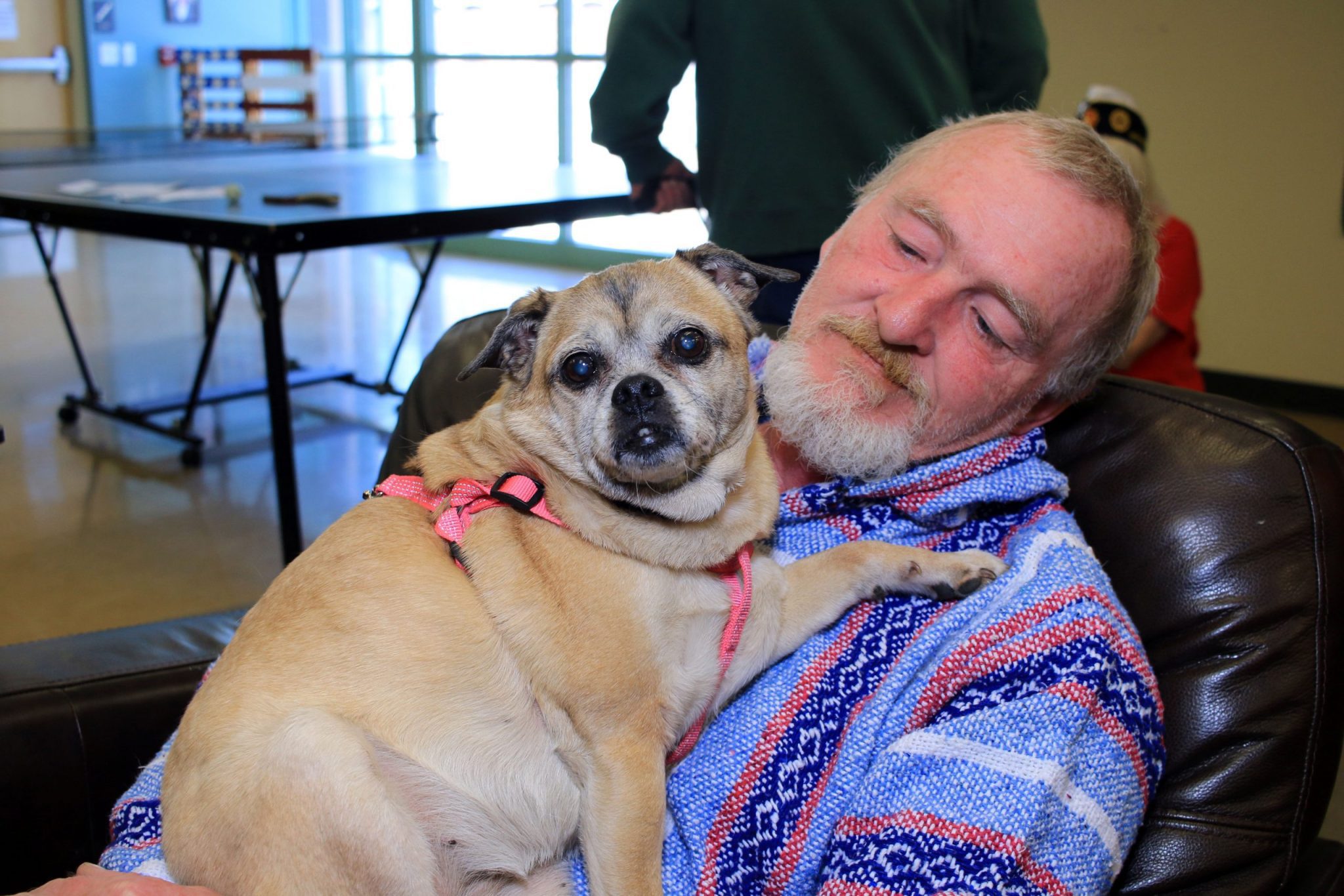 Curative Companions Program making a difference for veterans – Diocese ...