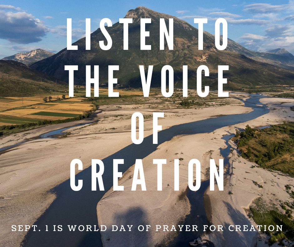 In message for World Day of Prayer for Creation, Pope calls on people ...