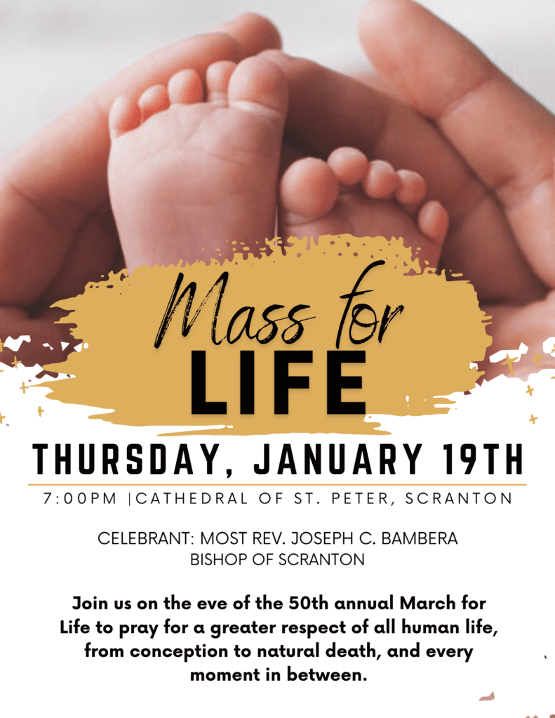 Diocese of Scranton to hold Mass for Life Jan. 19 in Scranton – Diocese ...