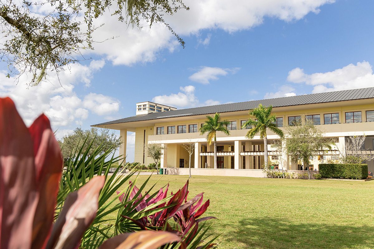 Ave Maria University offers free Catholic online courses highlighting ...